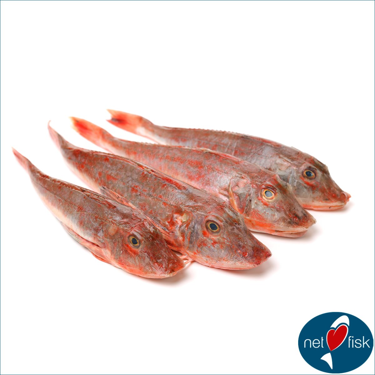 Køb Rød Knurhane hos Netfisk | Delikat smagsoplevelse